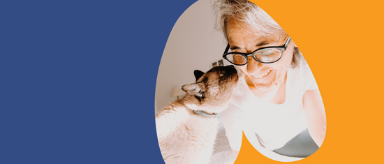 Shelter Volunteers – PAW-SBA