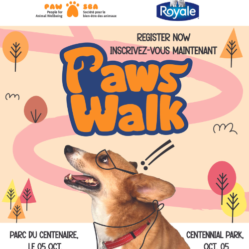 Events – PAW-SBA